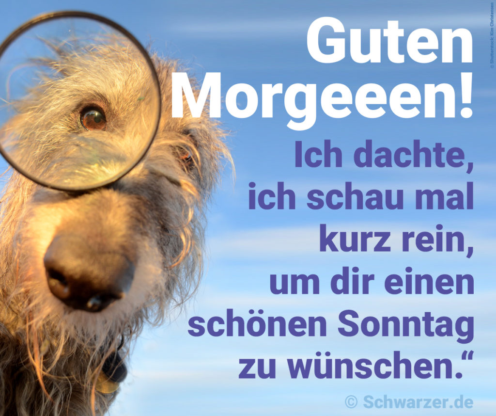20 lustige Bilder mit Sprüchen zum Wochenende - Content-Marketing by ...